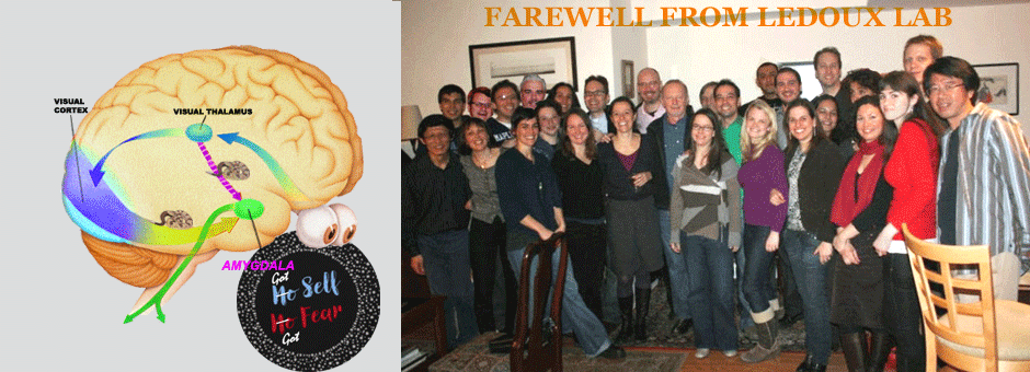 LeDouxlab | Announcement