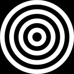 Synthesized Texture Example: bullseye