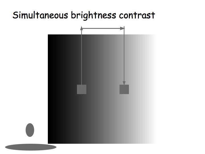 Perception Lecture Notes: Brightness