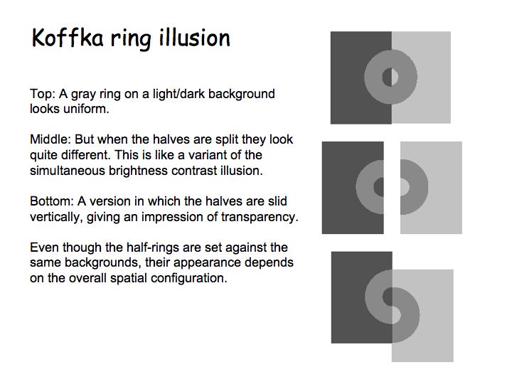 Perception Lecture Notes: Brightness